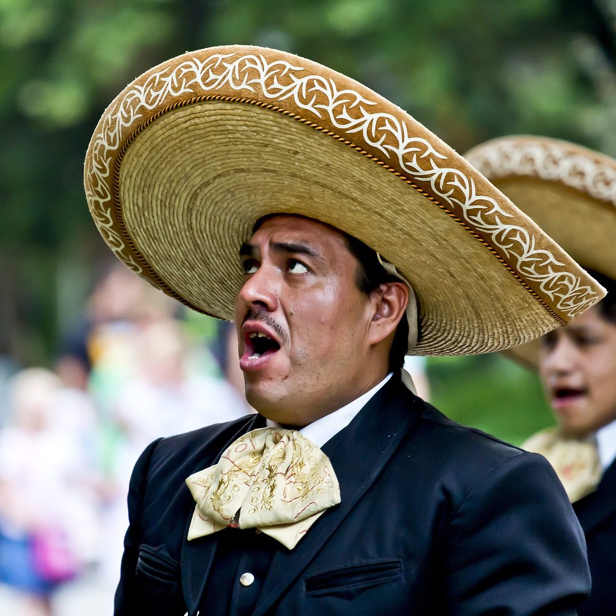 UltraStar Play - Karaoke Game